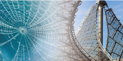 Was ist eigentlich Bionik?